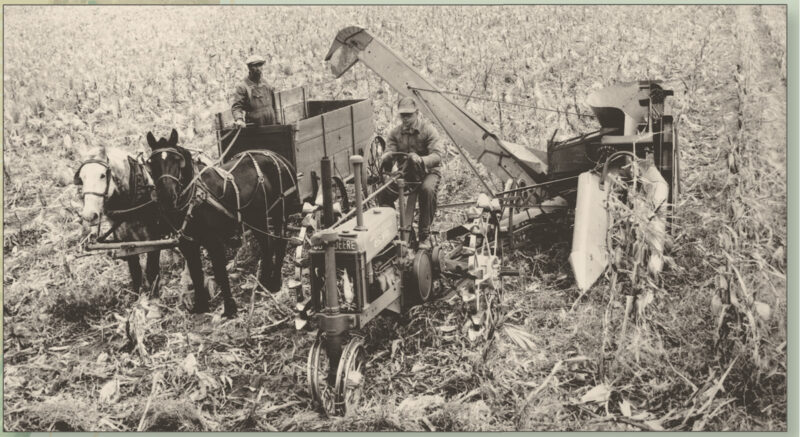 A History of Corn: Beginnings and Tall Tales of Farming Corn in America ...